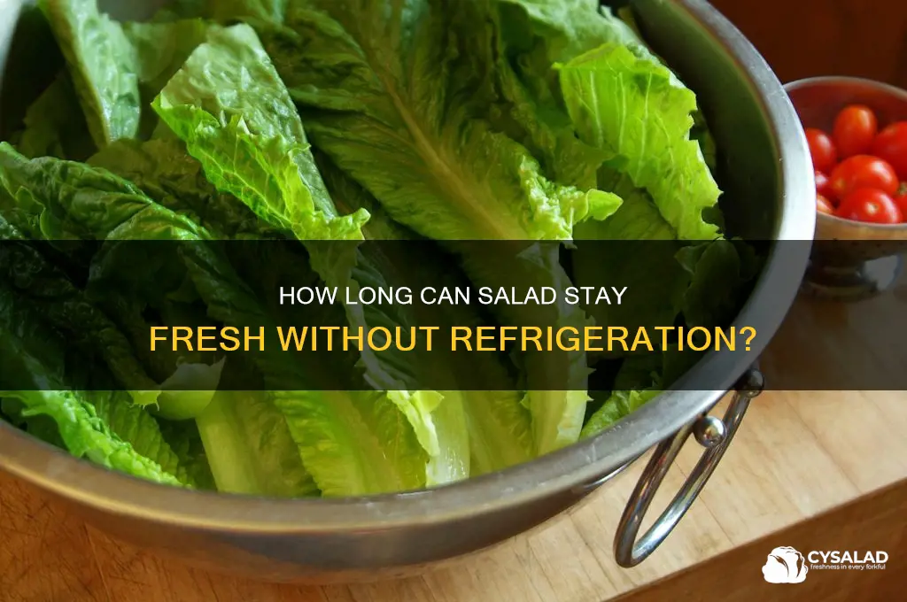 How Long Can Salad Stay Fresh Without Refrigeration? | CySalad