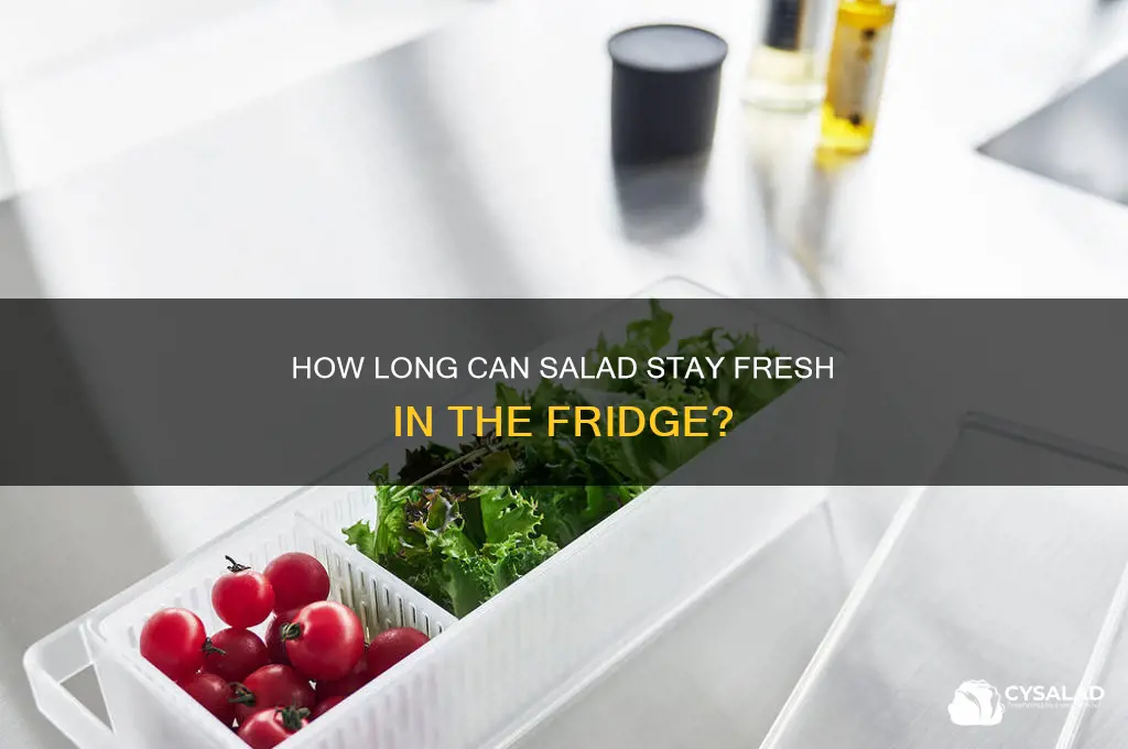 How Long Can Salad Stay Fresh In The Fridge? | CySalad