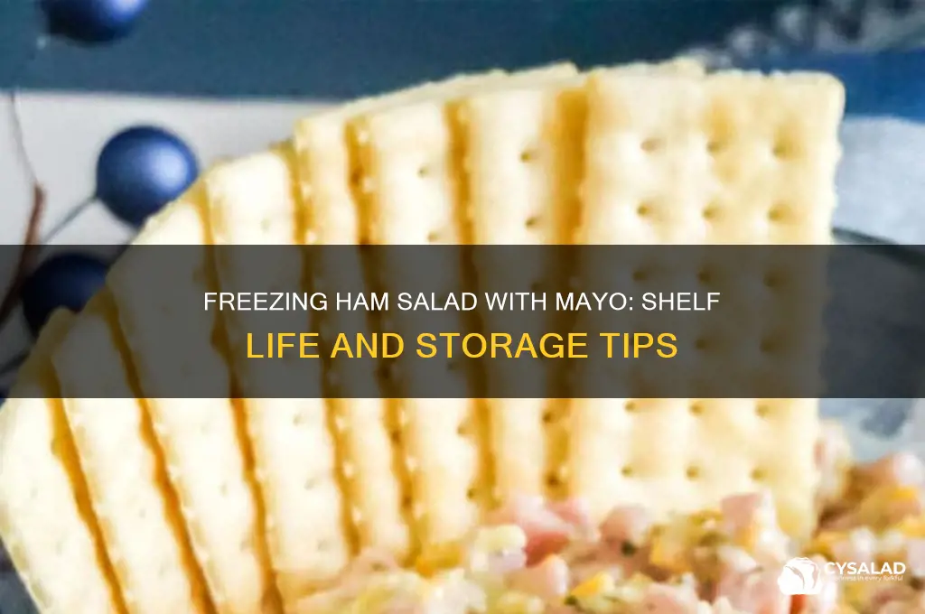 Freezing Ham Salad With Mayo: Shelf Life And Storage Tips | CySalad