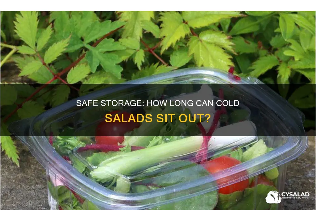 Safe Storage: How Long Can Cold Salads Sit Out? | CySalad