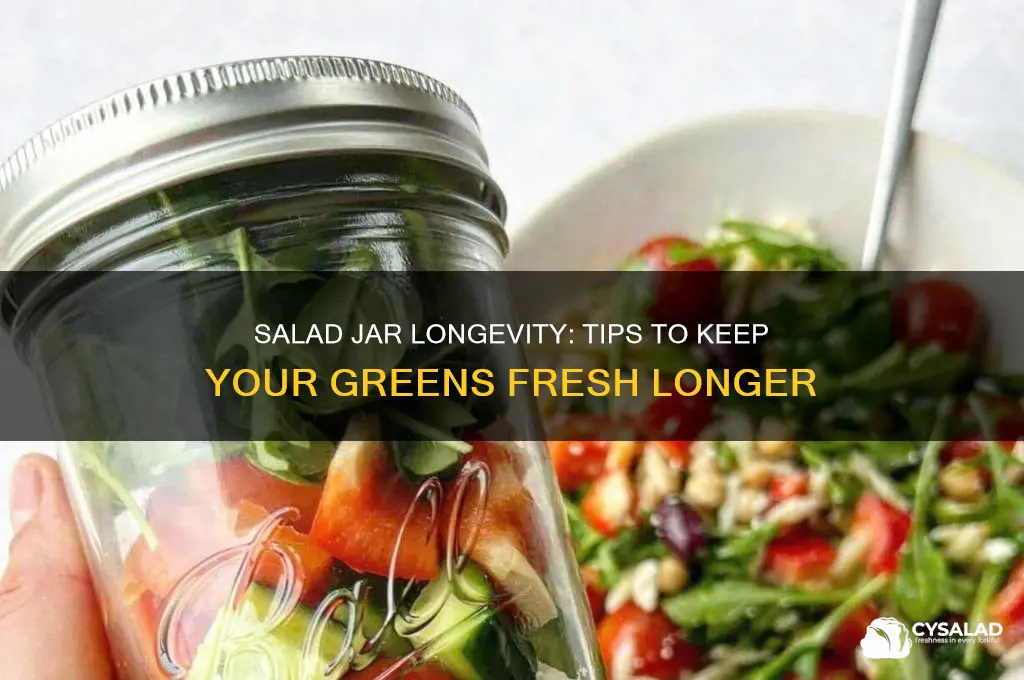Salad Jar Longevity: Tips To Keep Your Greens Fresh Longer | CySalad