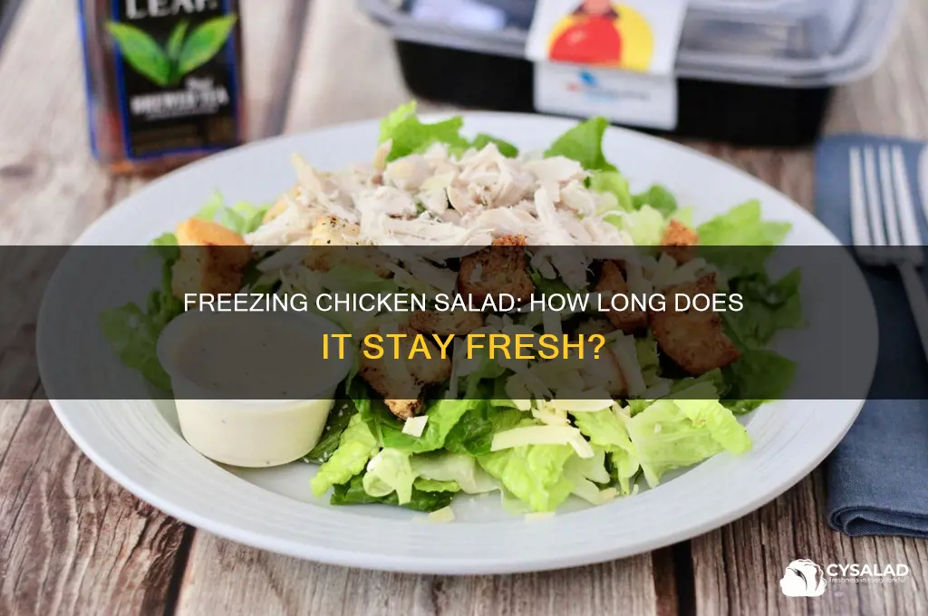 Freezing Chicken Salad: How Long Does It Stay Fresh? | CySalad