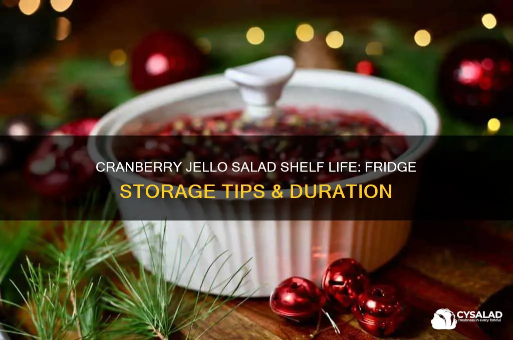 Cranberry Jello Salad Shelf Life: Fridge Storage Tips & Duration | CySalad