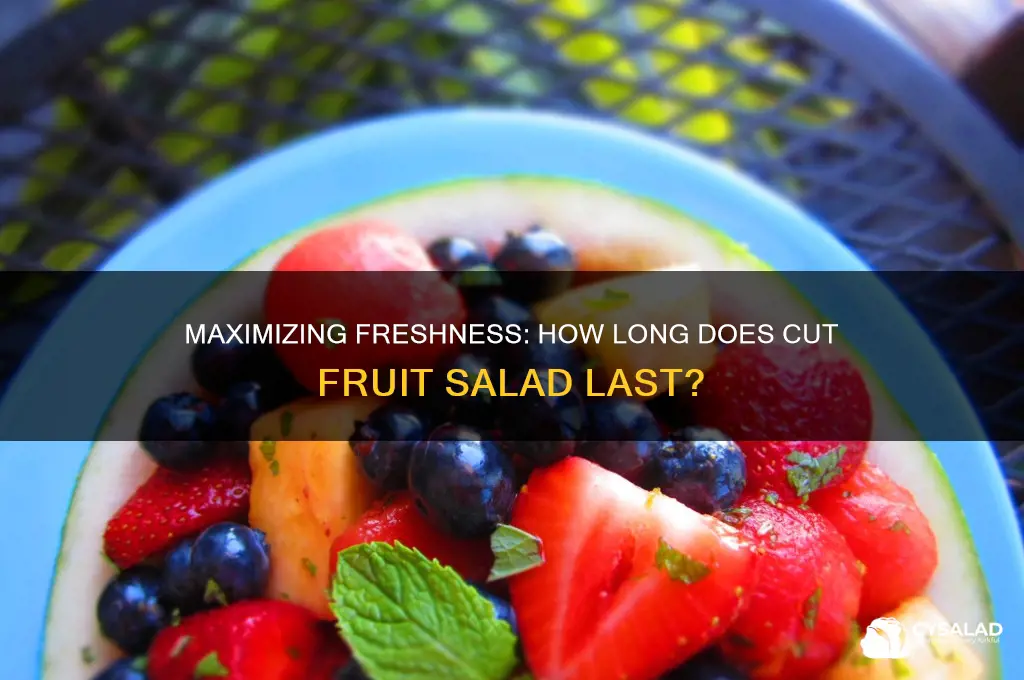Maximizing Freshness: How Long Does Cut Fruit Salad Last? | CySalad