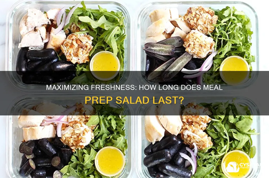 Maximizing Freshness: How Long Does Meal Prep Salad Last? | CySalad