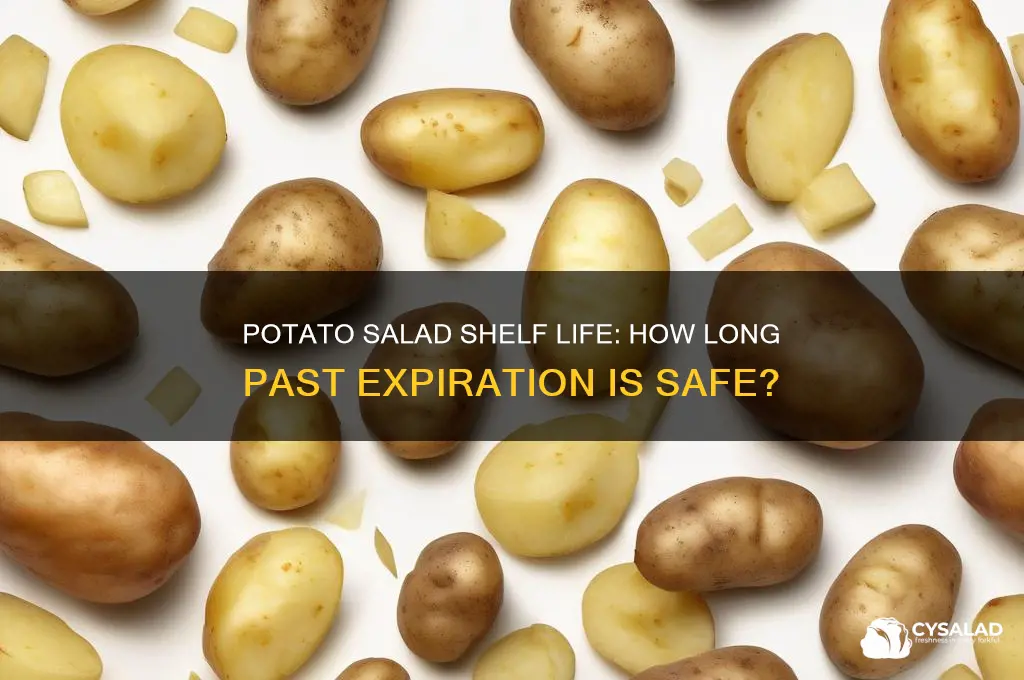 Potato Salad Shelf Life: How Long Past Expiration Is Safe? | CySalad