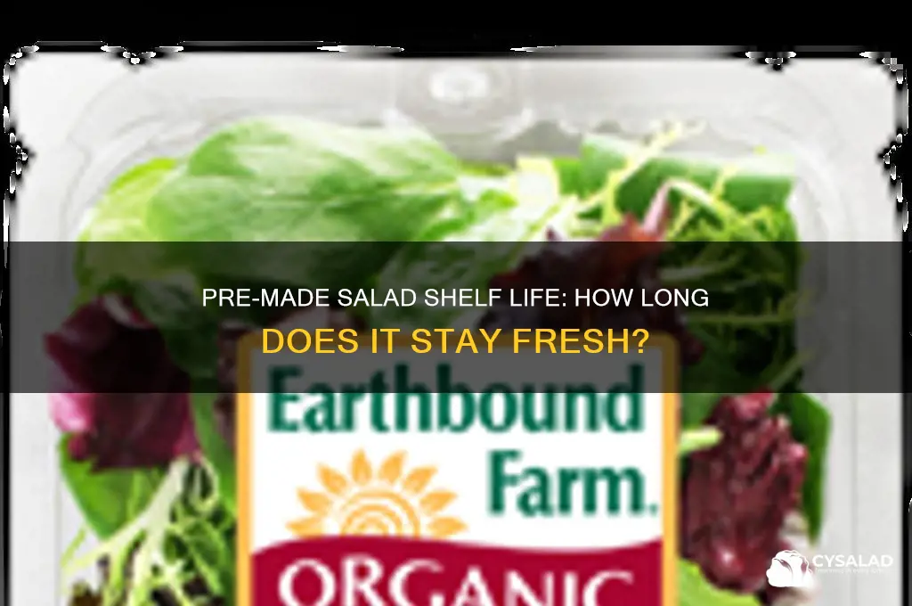 Pre-Made Salad Shelf Life: How Long Does It Stay Fresh? | CySalad