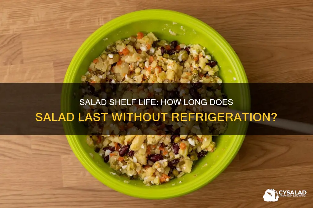 Salad Shelf Life: How Long Does Salad Last Without Refrigeration? | CySalad