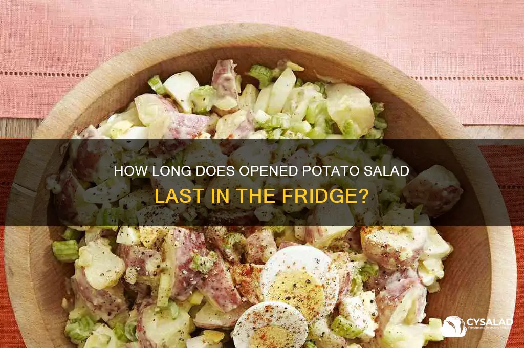 How Long Does Opened Potato Salad Last In The Fridge? | CySalad