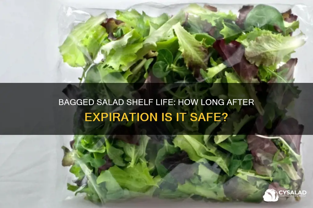 Bagged Salad Shelf Life: How Long After Expiration Is It Safe? | CySalad