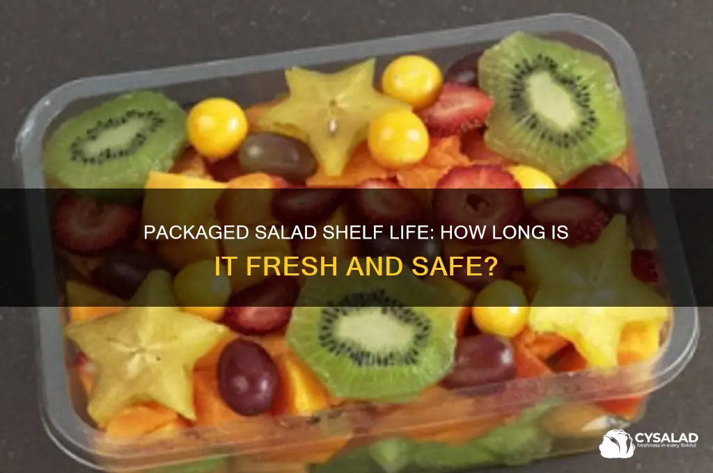 Packaged Salad Shelf Life: How Long Is It Fresh And Safe? | CySalad