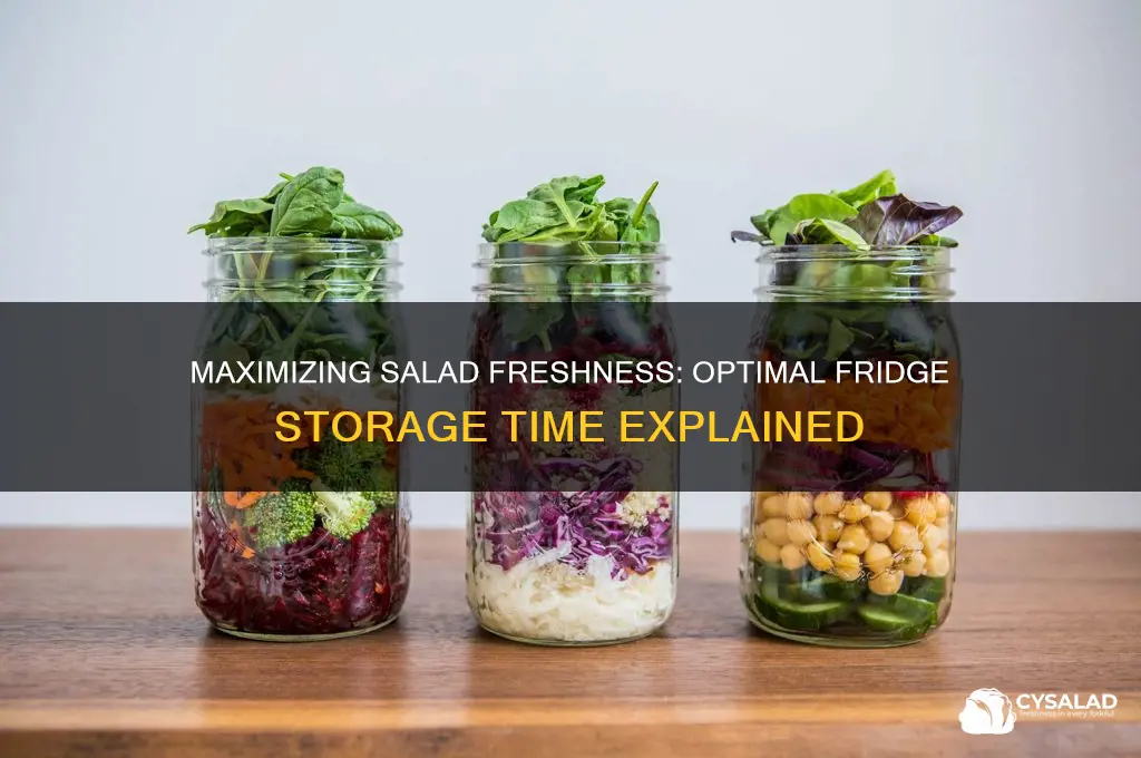 Maximizing Salad Freshness: Optimal Fridge Storage Time Explained | CySalad