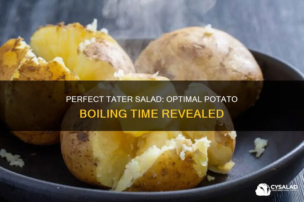 Perfect Tater Salad: Optimal Potato Boiling Time Revealed | CySalad