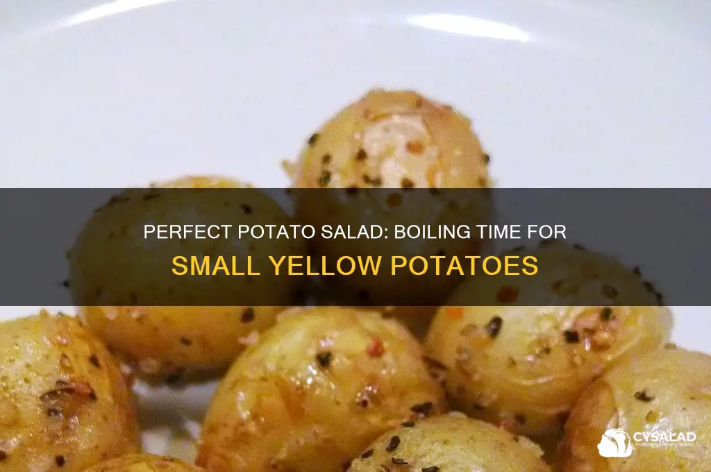 Perfect Potato Salad: Boiling Time For Small Yellow Potatoes | CySalad