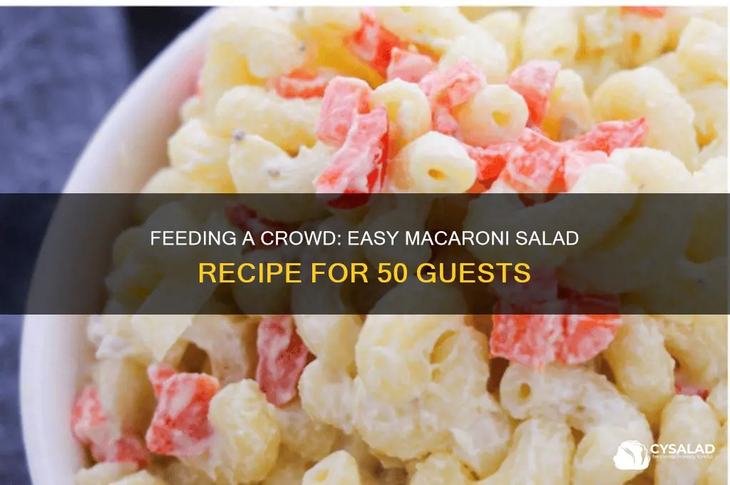 Feeding A Crowd: Easy Macaroni Salad Recipe For 50 Guests | CySalad