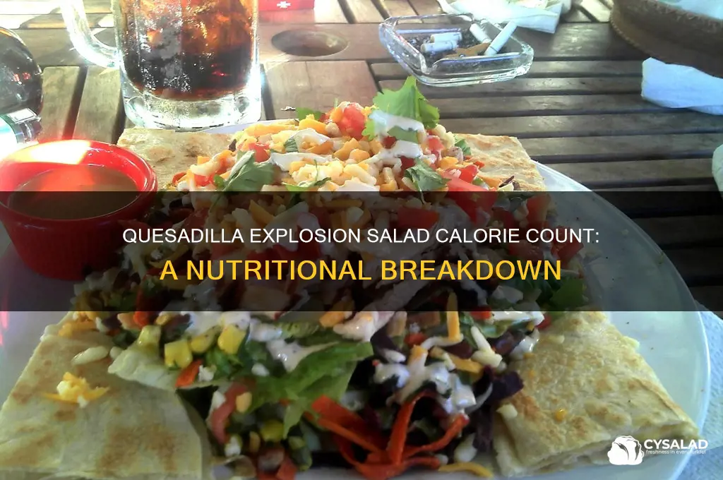 Quesadilla Explosion Salad Calorie Count: A Nutritional Breakdown | CySalad