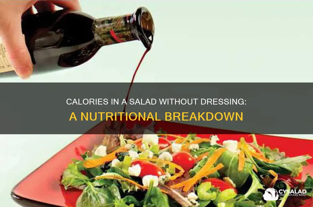Calories In A Salad Without Dressing: A Nutritional Breakdown | CySalad