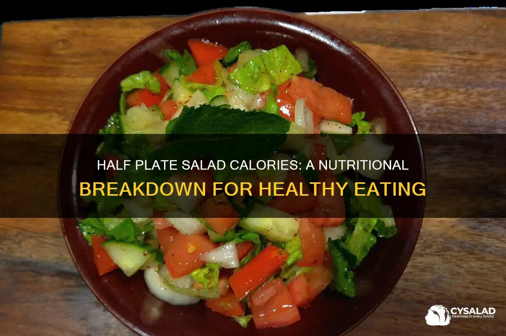Half Plate Salad Calories: A Nutritional Breakdown For Healthy Eating ...