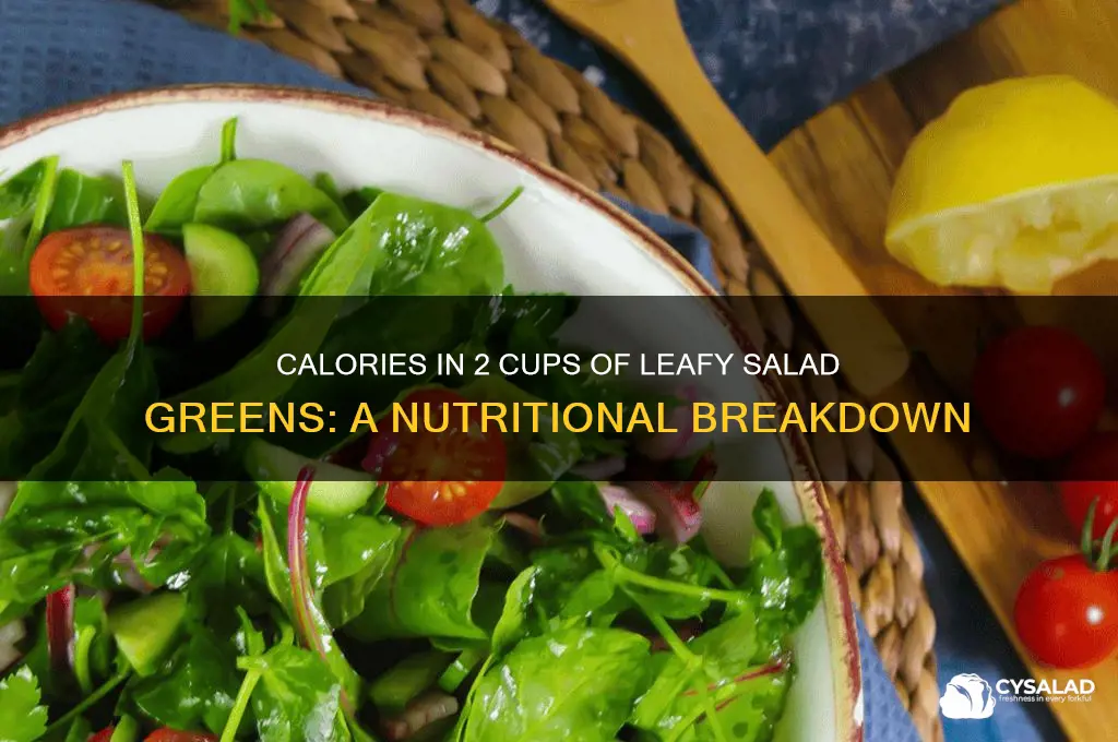 Calories In 2 Cups Of Leafy Salad Greens: A Nutritional Breakdown | CySalad