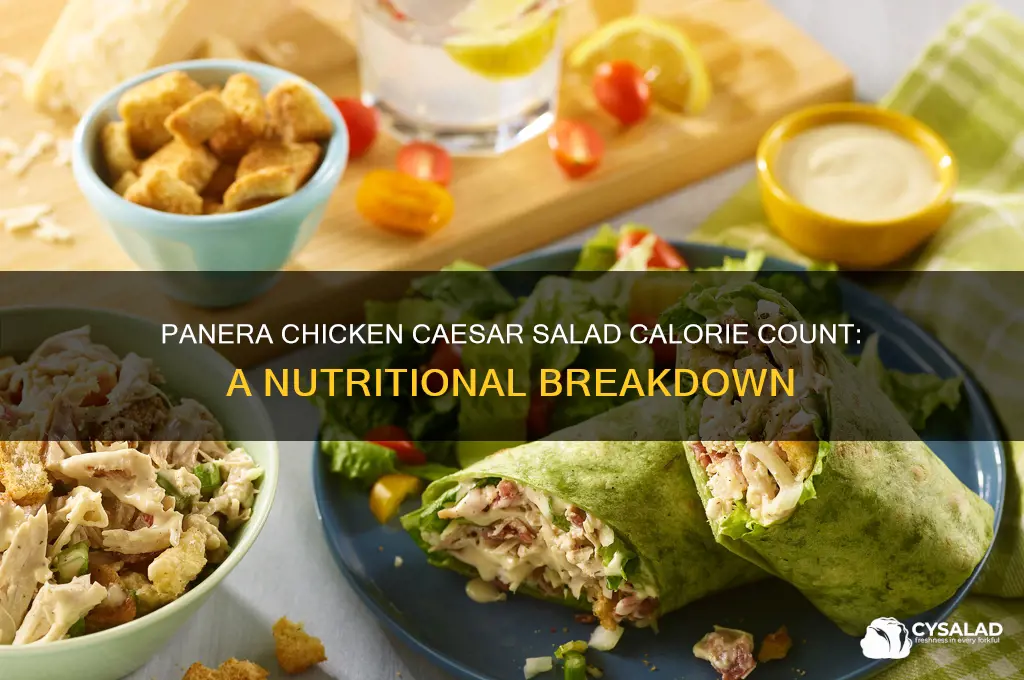 Panera Chicken Caesar Salad Calorie Count: A Nutritional Breakdown ...
