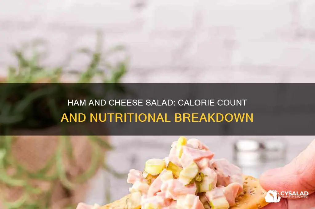Ham And Cheese Salad: Calorie Count And Nutritional Breakdown | CySalad
