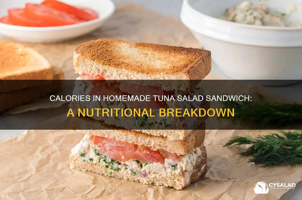 Calories In Homemade Tuna Salad Sandwich: A Nutritional Breakdown | CySalad