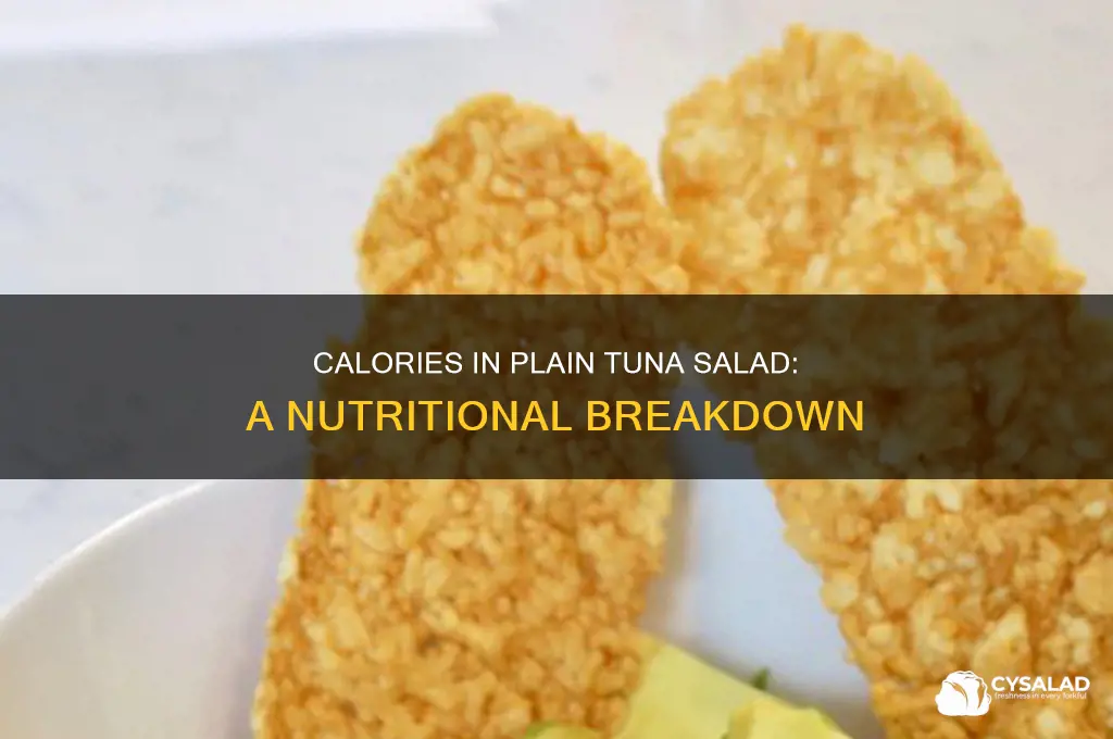 Calories In Plain Tuna Salad: A Nutritional Breakdown | CySalad