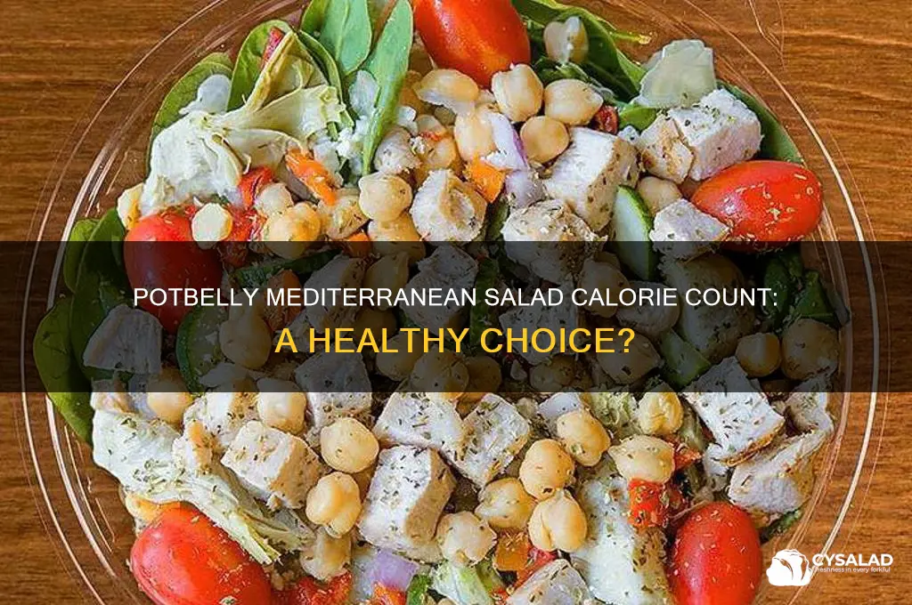 Potbelly Mediterranean Salad Calorie Count: A Healthy Choice? | CySalad