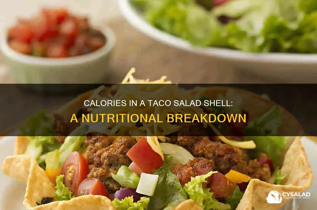 Calories In A Taco Salad Shell: A Nutritional Breakdown | CySalad