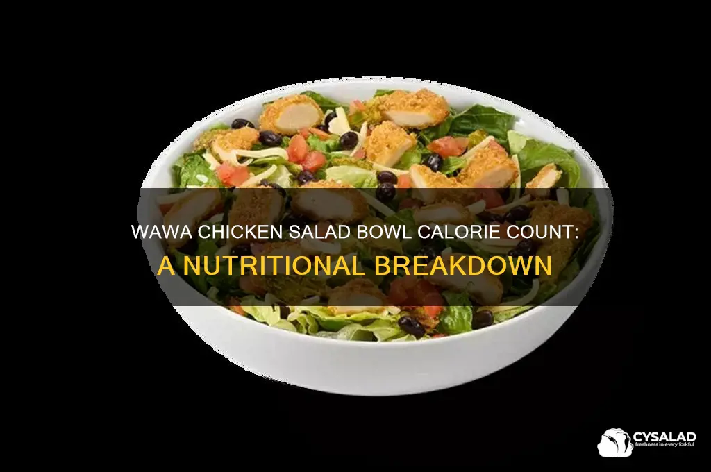 Wawa Chicken Salad Bowl Calorie Count: A Nutritional Breakdown | CySalad