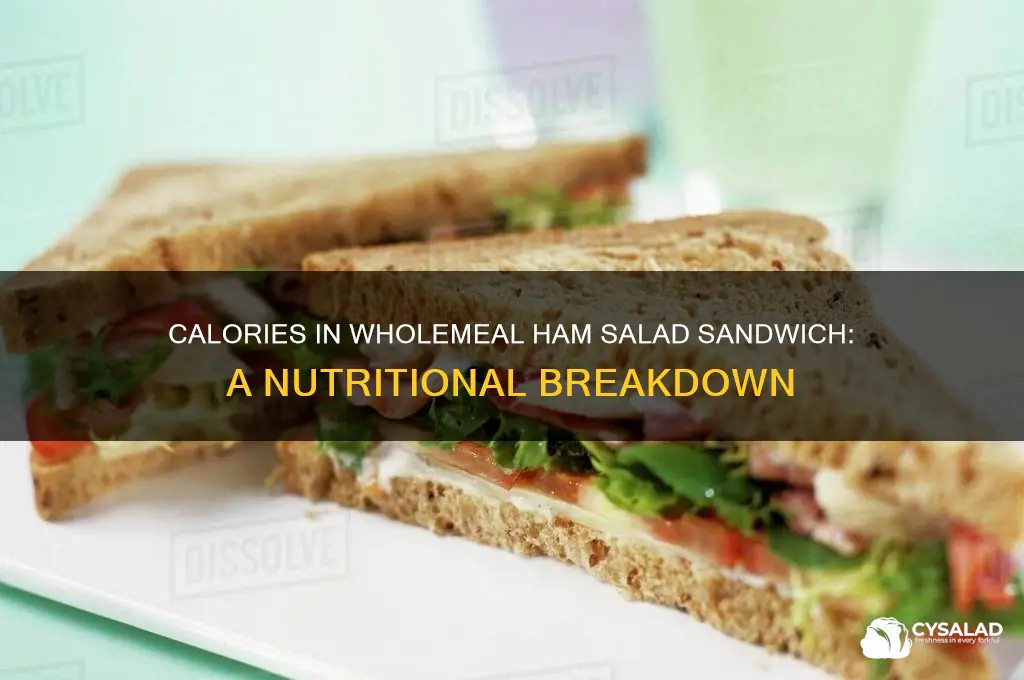 Calories In Wholemeal Ham Salad Sandwich: A Nutritional Breakdown | CySalad