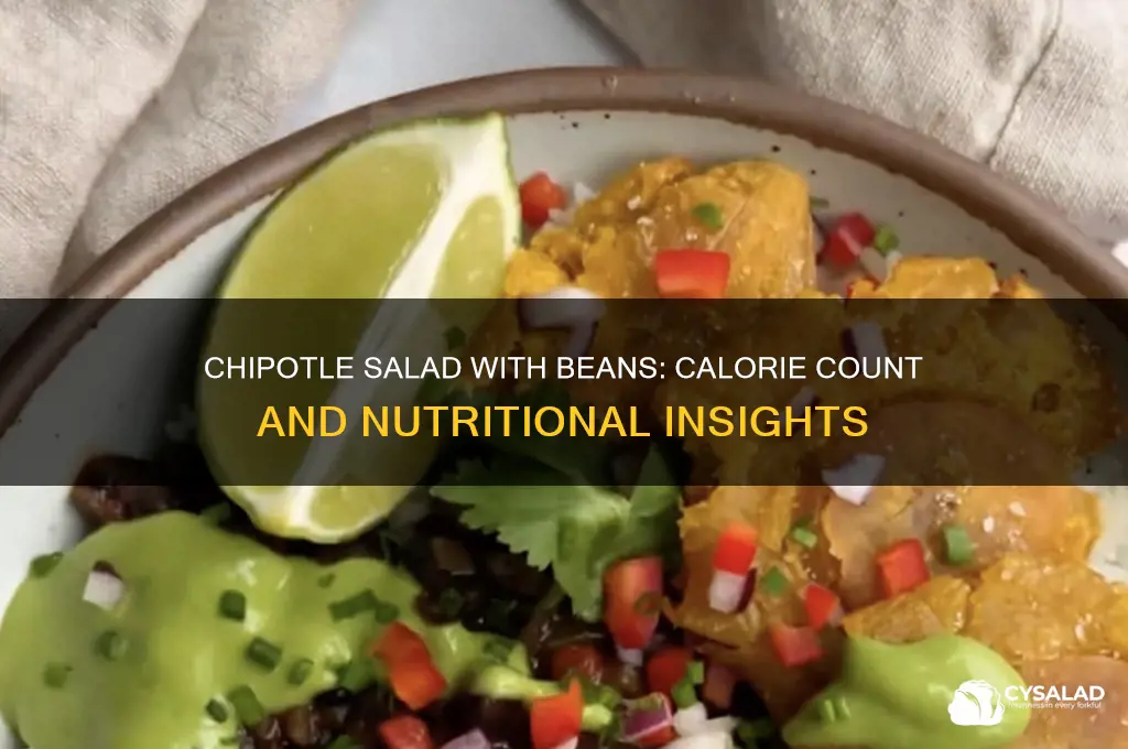Chipotle Salad With Beans: Calorie Count And Nutritional Insights | CySalad