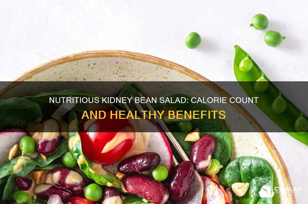 Nutritious Kidney Bean Salad: Calorie Count And Healthy Benefits | CySalad