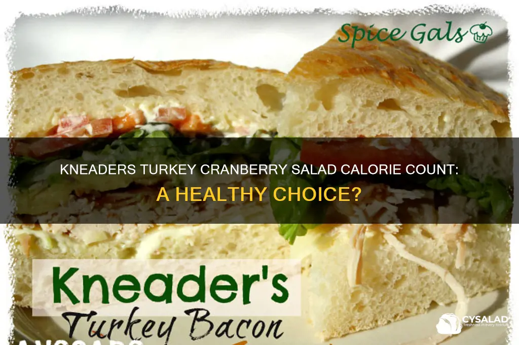 Kneaders Turkey Cranberry Salad Calorie Count: A Healthy Choice? | CySalad