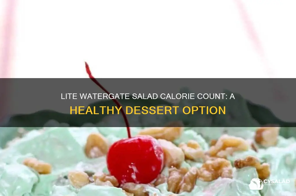 Lite Watergate Salad Calorie Count: A Healthy Dessert Option | CySalad
