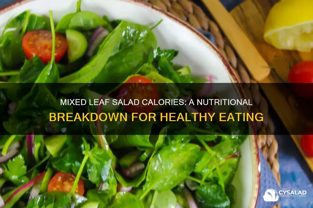 Mixed Leaf Salad Calories: A Nutritional Breakdown For Healthy Eating ...