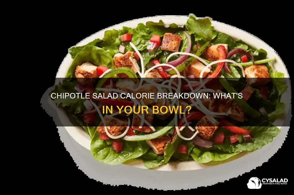 Chipotle Salad Calorie Breakdown: What's In Your Bowl? | CySalad
