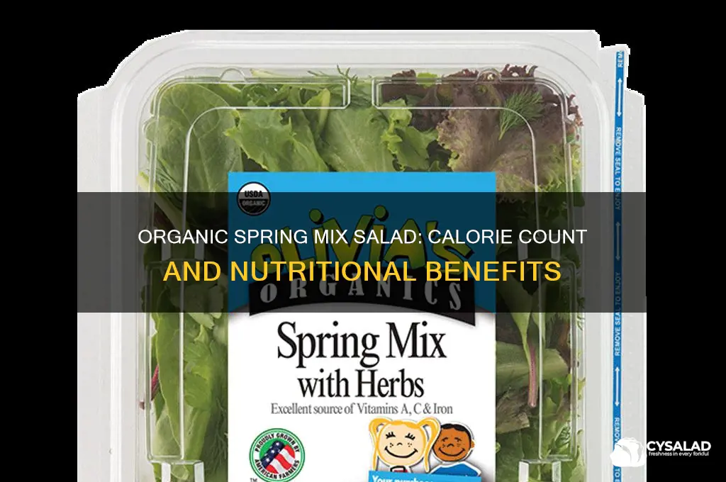 Organic Spring Mix Salad: Calorie Count And Nutritional Benefits | CySalad