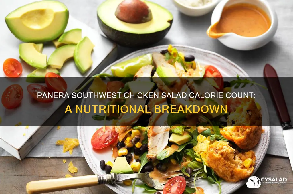 Panera Southwest Chicken Salad Calorie Count: A Nutritional Breakdown ...