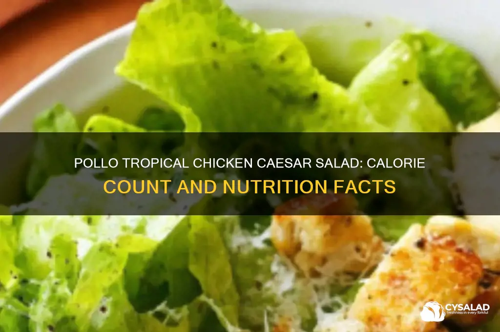 Pollo Tropical Chicken Caesar Salad: Calorie Count And Nutrition Facts ...