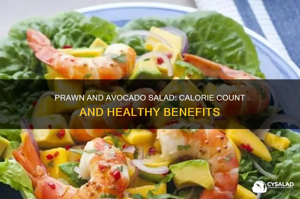 Prawn And Avocado Salad: Calorie Count And Healthy Benefits | CySalad