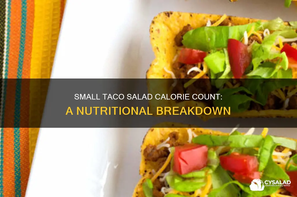 Small Taco Salad Calorie Count: A Nutritional Breakdown | CySalad