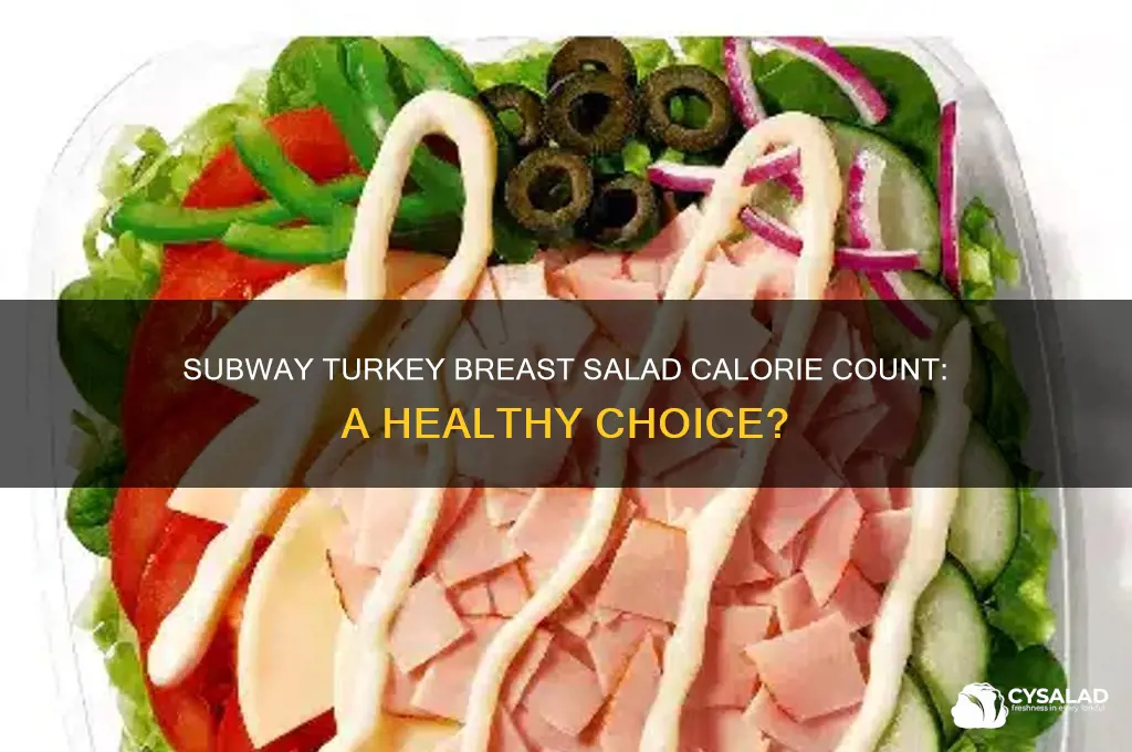 Subway Turkey Breast Salad Calorie Count: A Healthy Choice? | CySalad