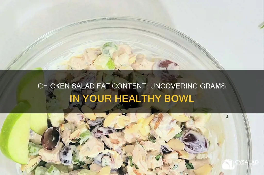 Chicken Salad Fat Content: Uncovering Grams In Your Healthy Bowl | CySalad