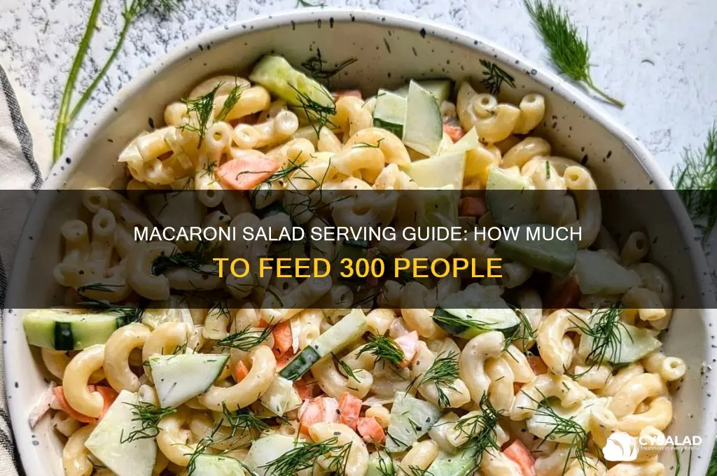 Macaroni Salad Serving Guide: How Much To Feed 300 People | CySalad