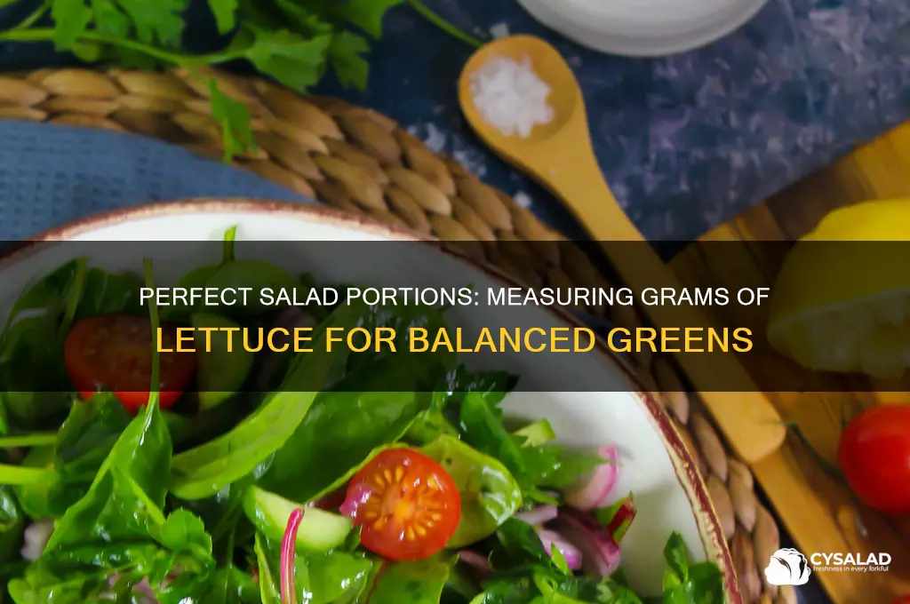 Perfect Salad Portions: Measuring Grams Of Lettuce For Balanced Greens ...
