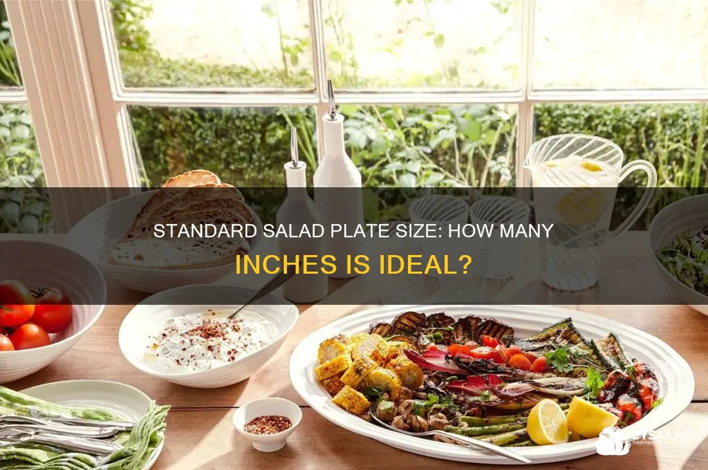 Standard Salad Plate Size: How Many Inches Is Ideal? | CySalad