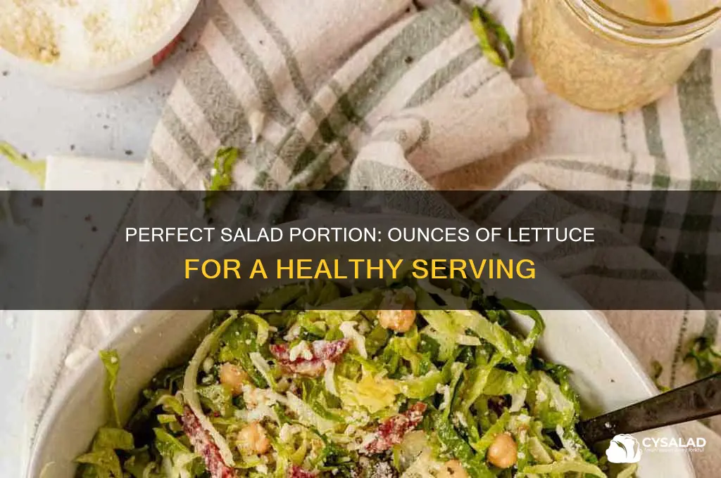 Perfect Salad Portion: Ounces Of Lettuce For A Healthy Serving | CySalad