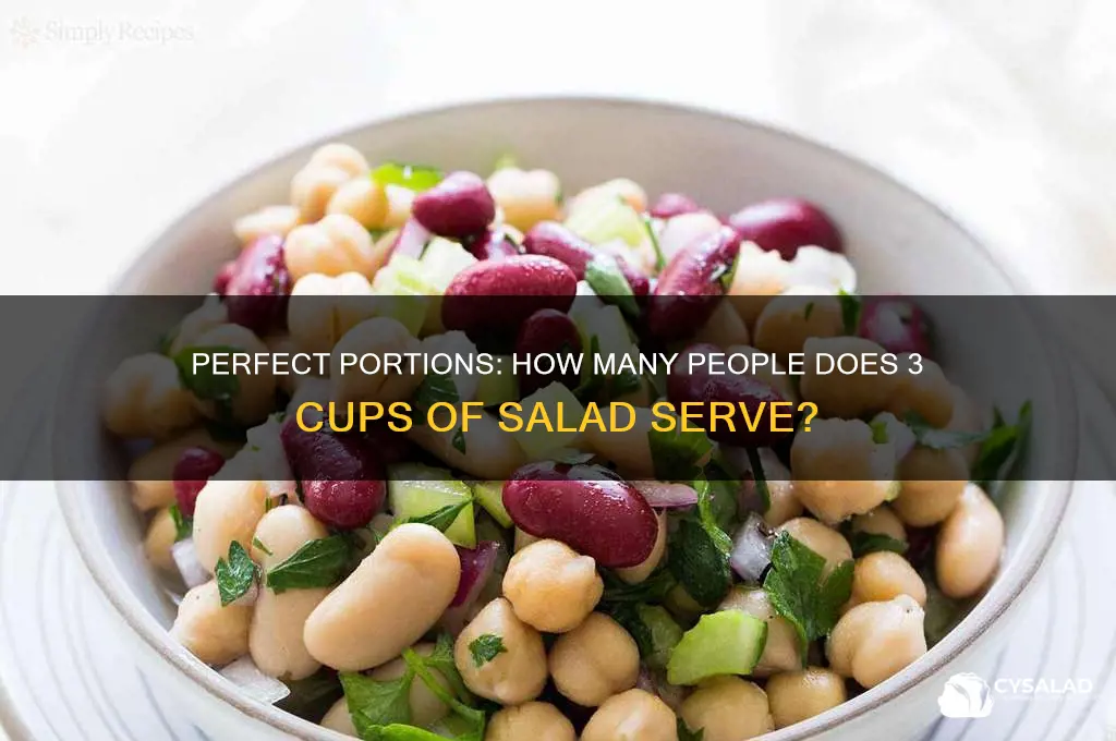Perfect Portions: How Many People Does 3 Cups Of Salad Serve? | CySalad