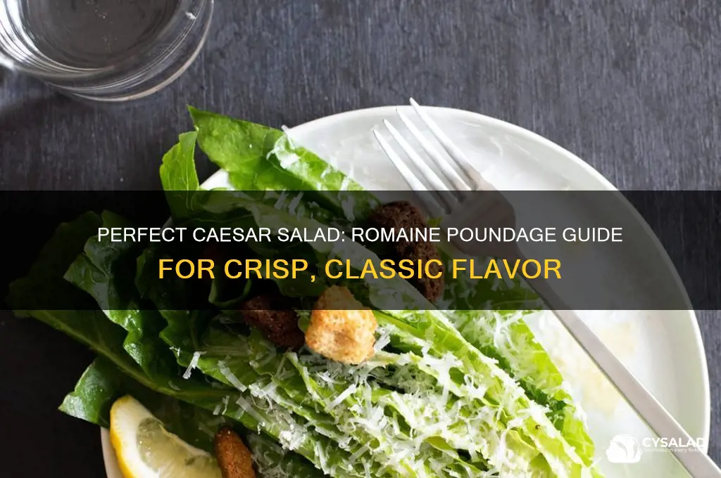 Perfect Caesar Salad: Romaine Poundage Guide For Crisp, Classic Flavor ...